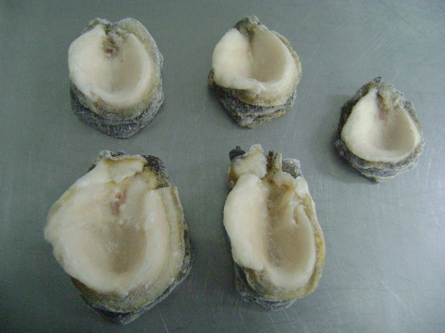 Locos/Abalone | Marterra Specialty Foods